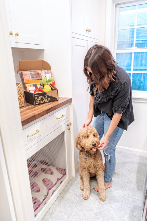 Takesgiving with Rosie and BarkBox - HOUSE of HARPER HOUSE of HARPER